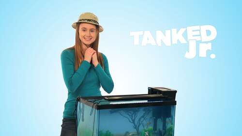 Watch Tanked Season 4 | Discovery Plus