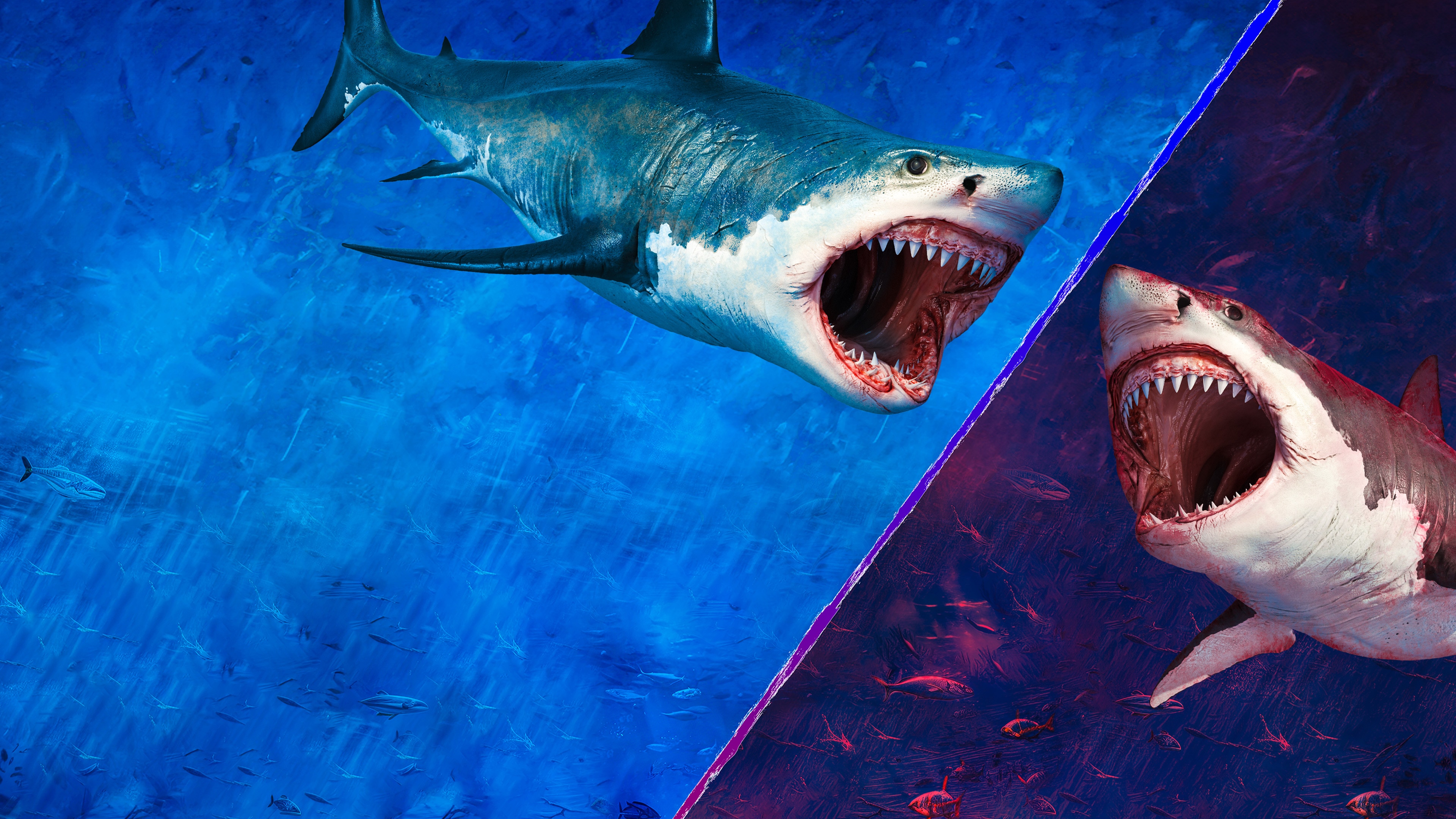 Watch Jaws vs. the Meg | Max