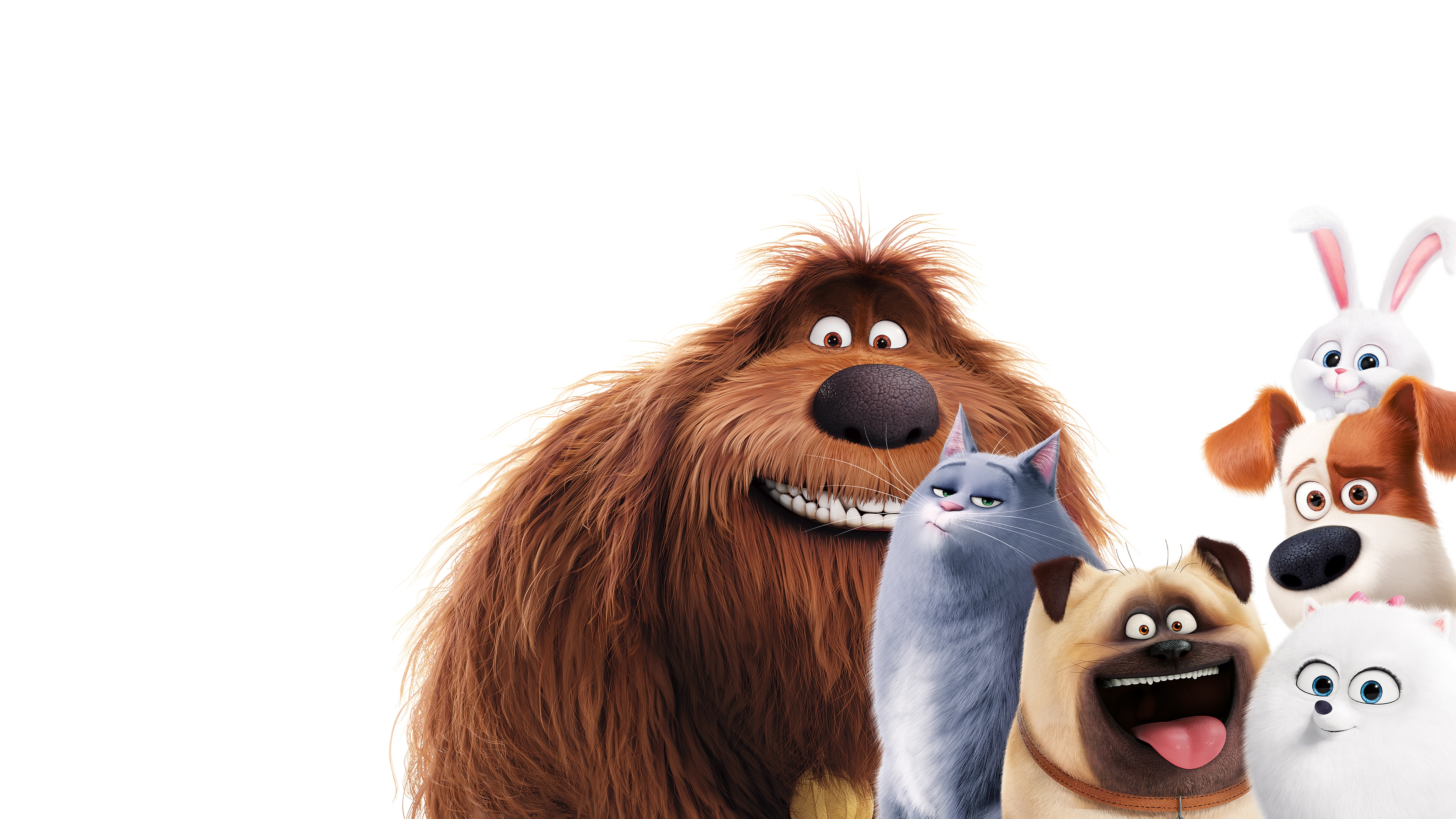 Assista Pets: A Vida Secreta dos Bichos | HBO Max