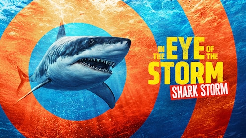 Watch In the Eye of the Storm: Shark Storm | HBO Max