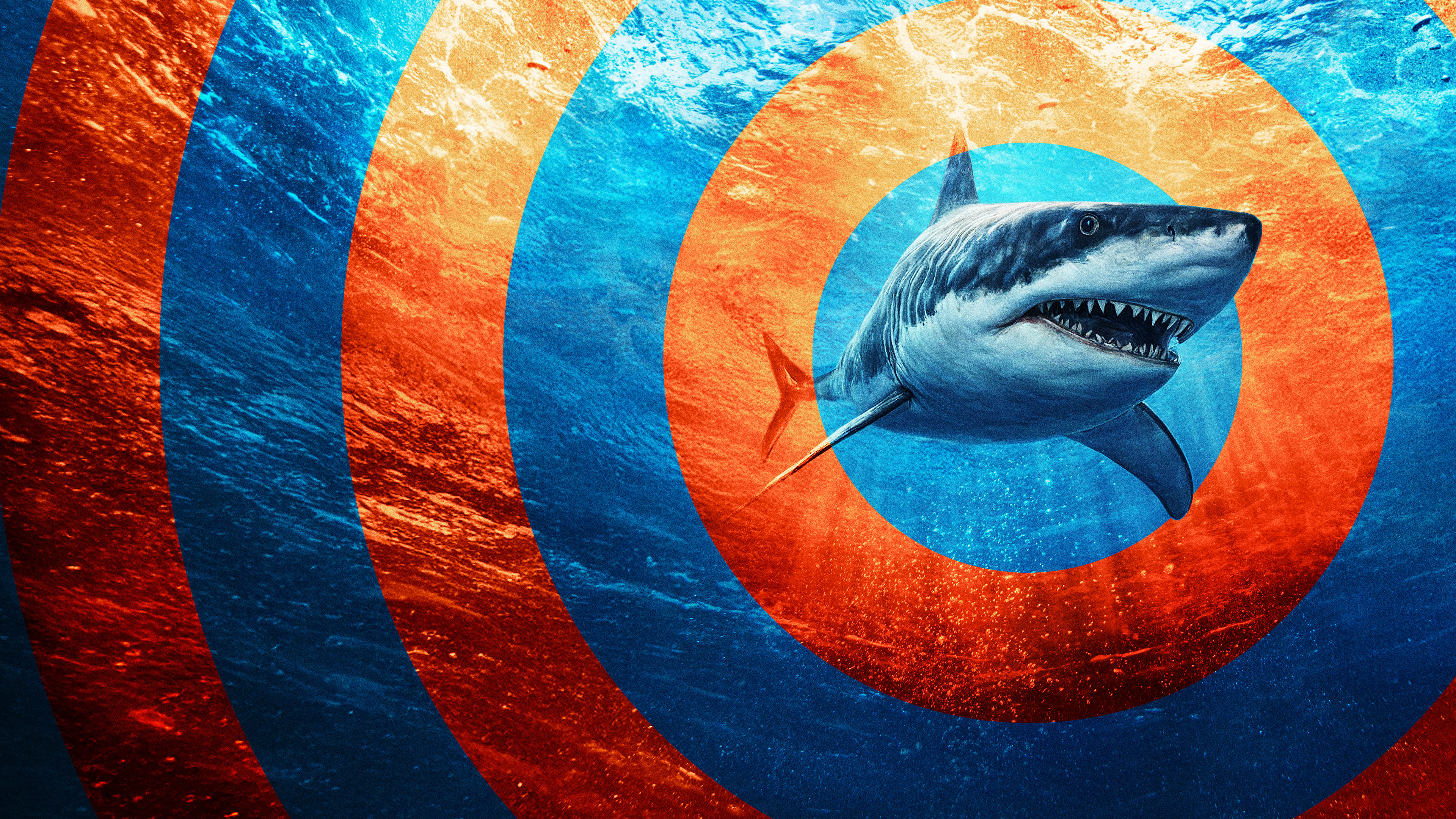 Watch In the Eye of the Storm: Shark Storm | HBO Max