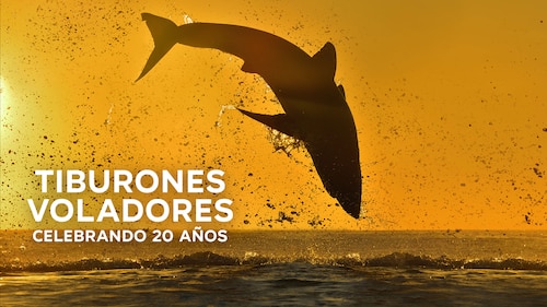 Ver Tiburones voladores: Celebrando 20 años | HBO Max