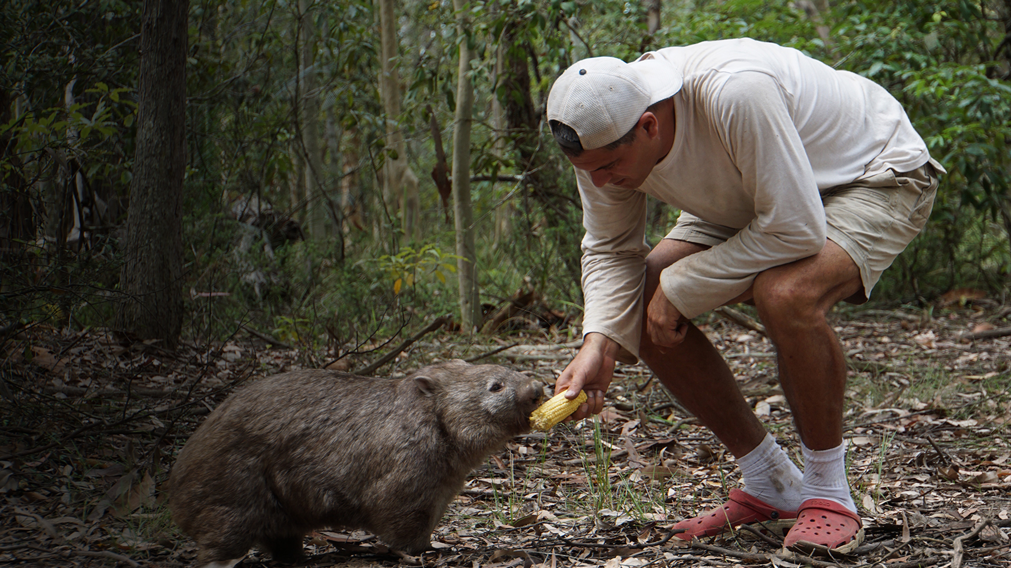 Ver Wild Frank: Al rescate | HBO Max