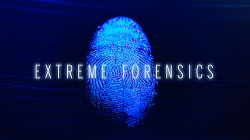Watch Extreme Forensics | discovery+