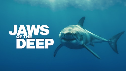 Watch Jaws of the Deep | HBO Max
