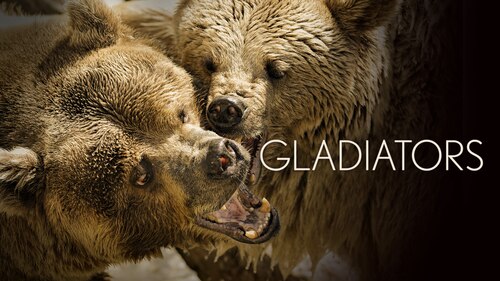 Watch Gladiators Season 1 Episode 2 - Wild Coast | HBO Max