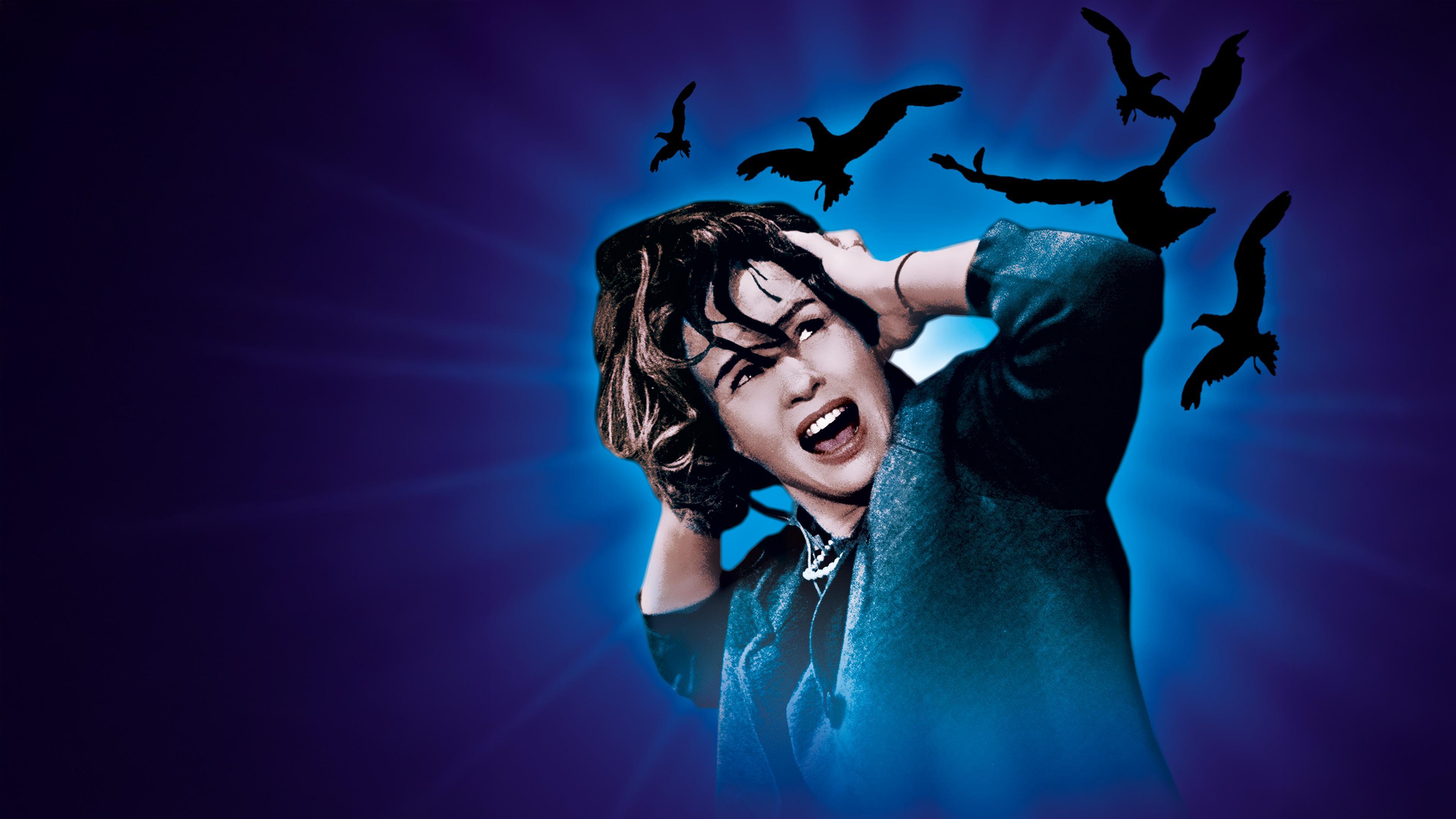 Ver Los Pájaros | HBO Max