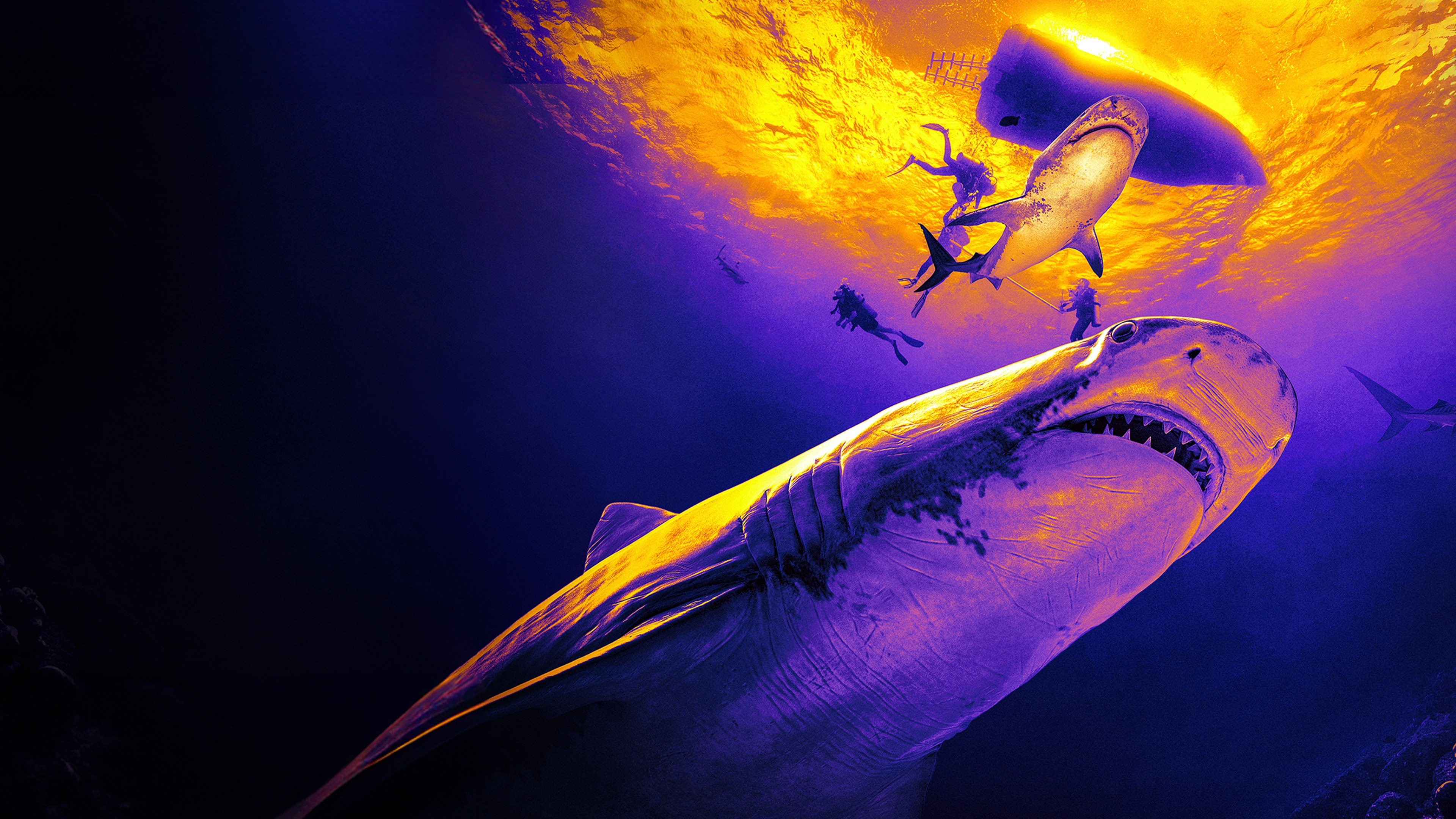 Ver Tiburones letales de Brasil | Max