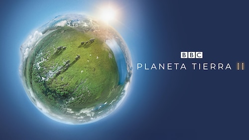Ver Planeta Tierra II Temporada 1 Episodio 6 - Ciudades | HBO Max