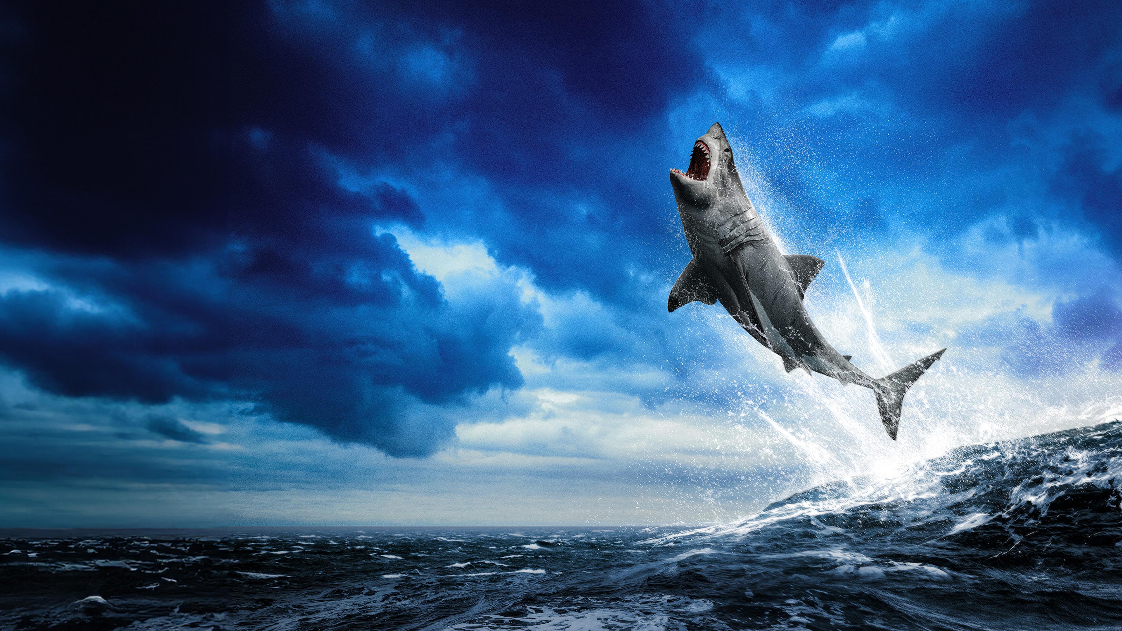 Assista Tubarões Voadores - Quebrando Recordes | HBO Max