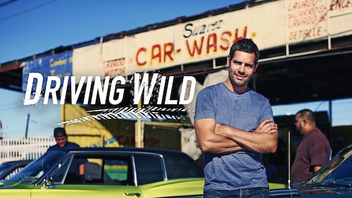 Watch Driving Wild | discovery+