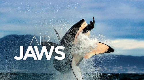 Watch Air Jaws | discovery+