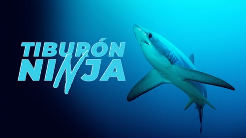Ver Tiburón ninja | HBO Max
