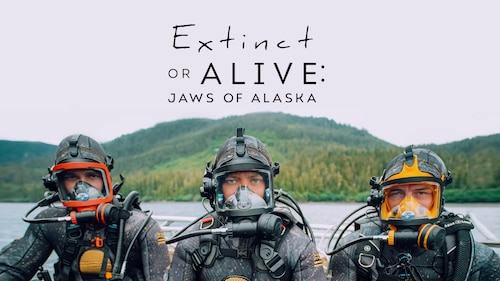 Watch Extinct or Alive: Jaws Of Alaska | HBO Max
