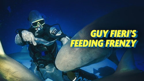 Watch Guy Fieri's Feeding Frenzy | discovery+