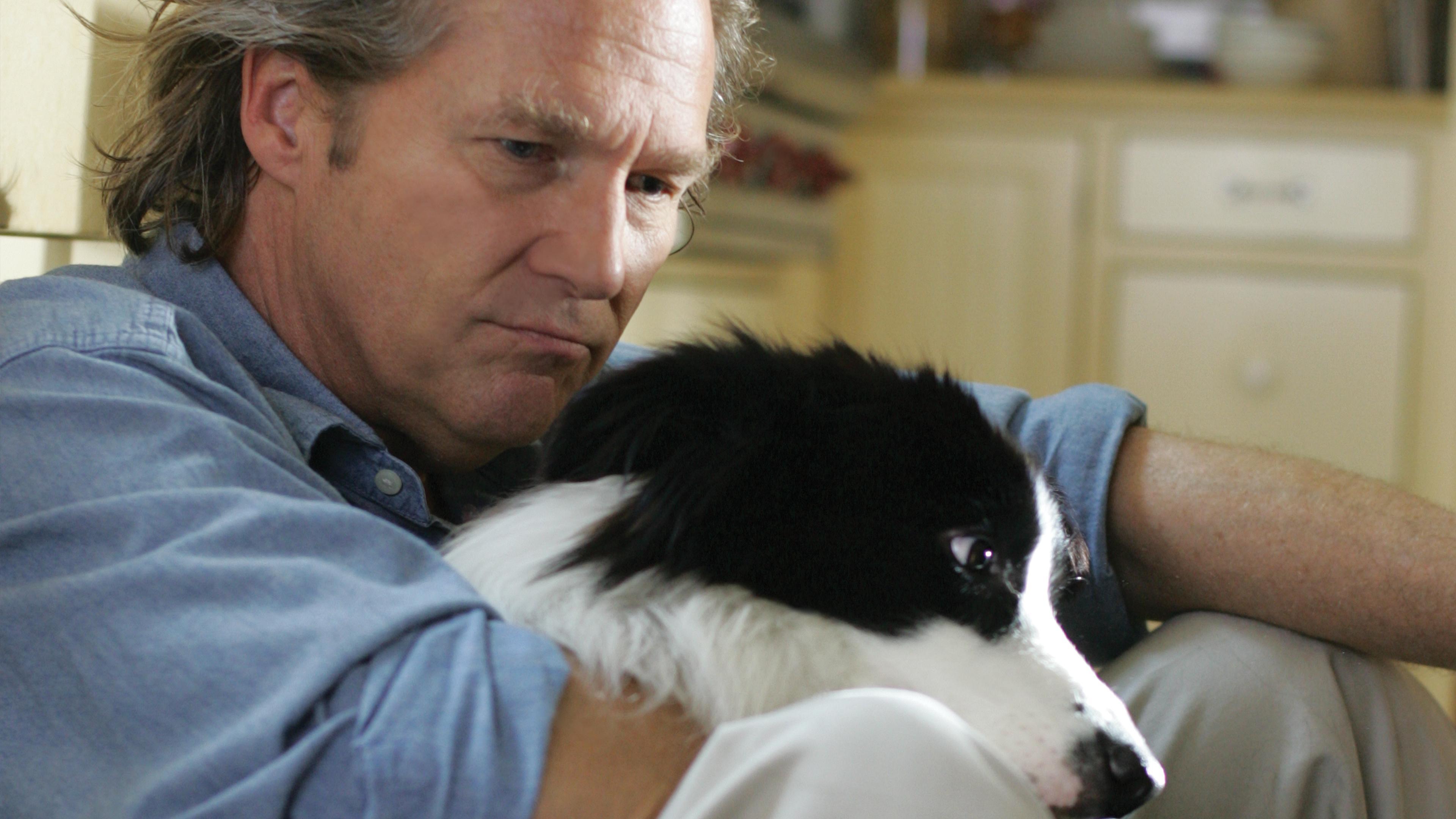 Watch A Dog Year (HBO) | Max