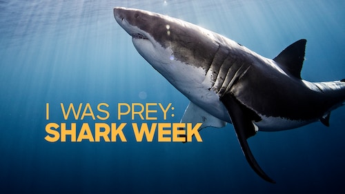 Watch I Was Prey: Shark Week | discovery+