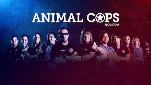 Guarda Animal Cops Houston | discovery+