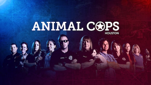 Watch Animal Cops: Houston | Season 5 Episode 10 | discovery+