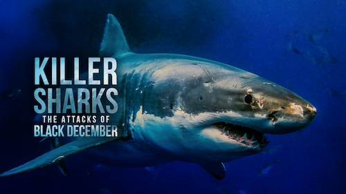 Watch Killer Sharks: The Attacks of Black December | HBO Max