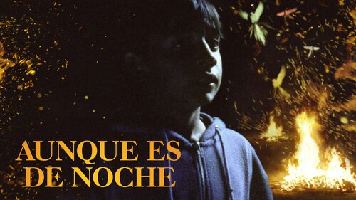 Watch Aunque es de noche | HBO Max