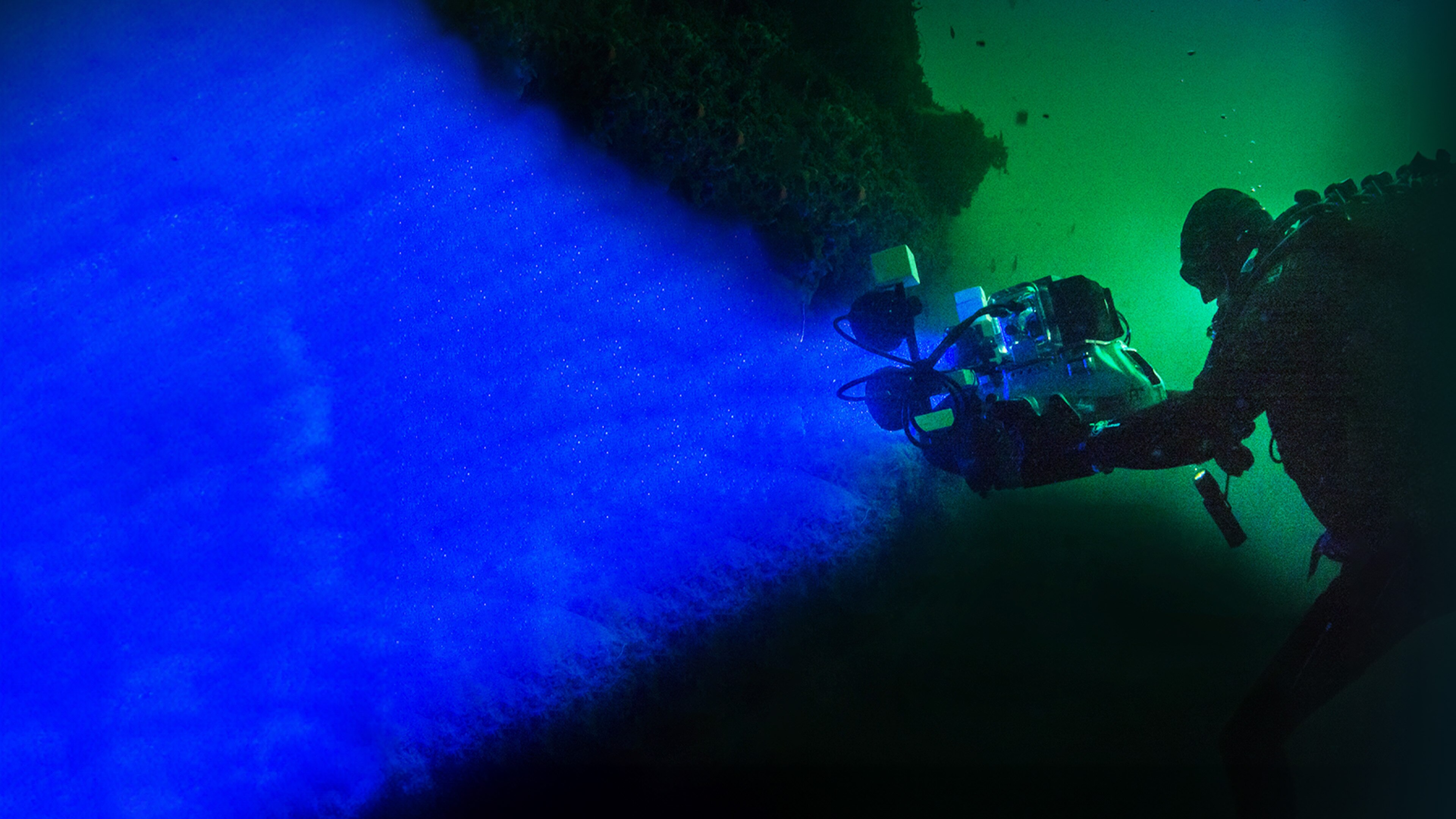 Watch Alien Sharks: Return to the Abyss | Max