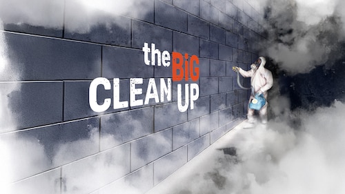 Watch The Big Clean Up | Max