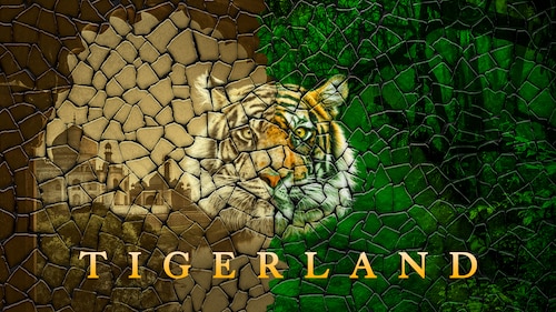 Watch Tigerland | discovery+