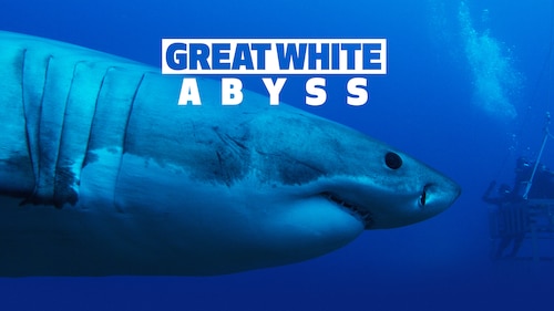 Watch Great White Abyss | HBO Max