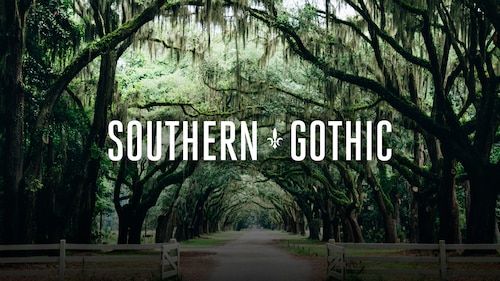 Watch Southern Gothic | discovery+