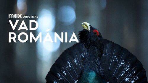 Nézd Vad Románia | Max