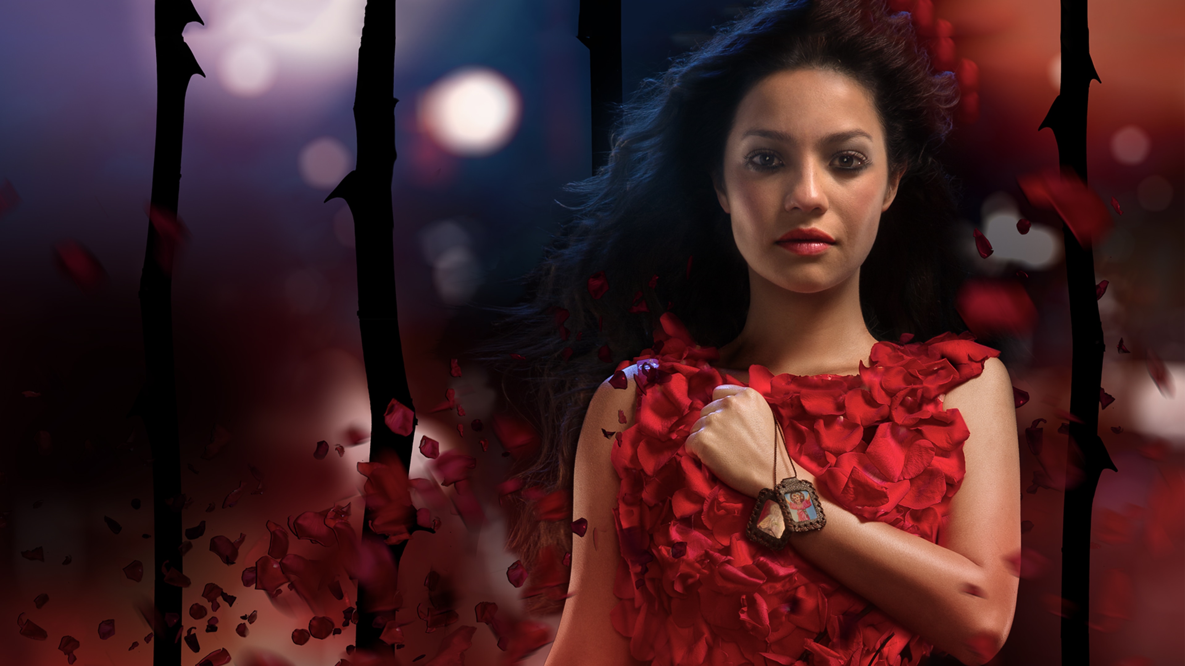 Ver Lady, la Vendedora de Rosas | Max