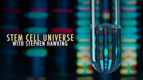 Watch Stem Cell Universe with Stephen Hawking | discovery+