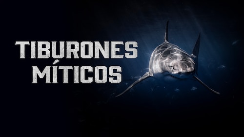 Ver Tiburones míticos | HBO Max