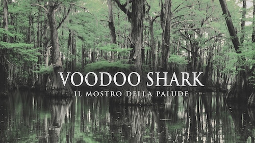 Guarda Voodoo Shark: il mostro della palude | discovery+