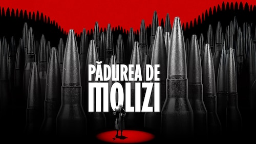 Vezi Pădurea de molizi | HBO Max