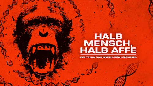 Ansehen Halb Mensch, halb Affe: Der Traum vom makellosen Lebewesen ...