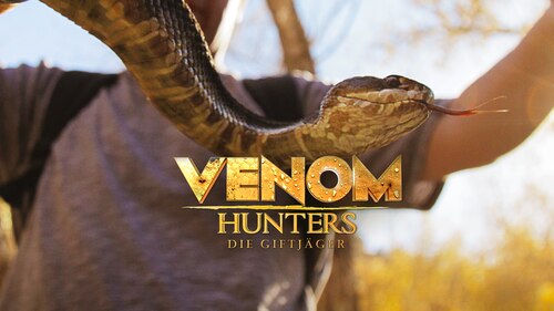 Ansehen Venom Hunters - Die Giftjäger | Staffel 1 Folge 4 | discovery+