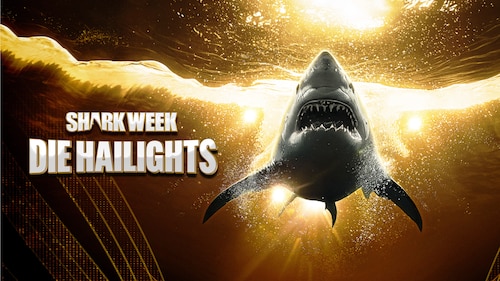 Ansehen Shark Week: Die Hailights | discovery+