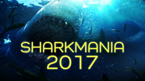Watch Sharkmania 2017 | discovery+