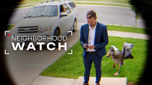 Watch Neighborhood Watch | discovery+