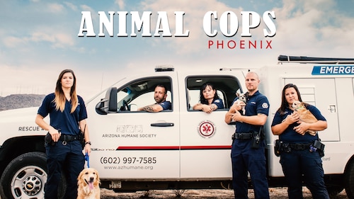 Watch Animal Cops Phoenix | discovery+