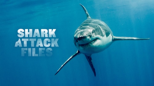 Παρακολούθησε Shark Attack Files | HBO Max