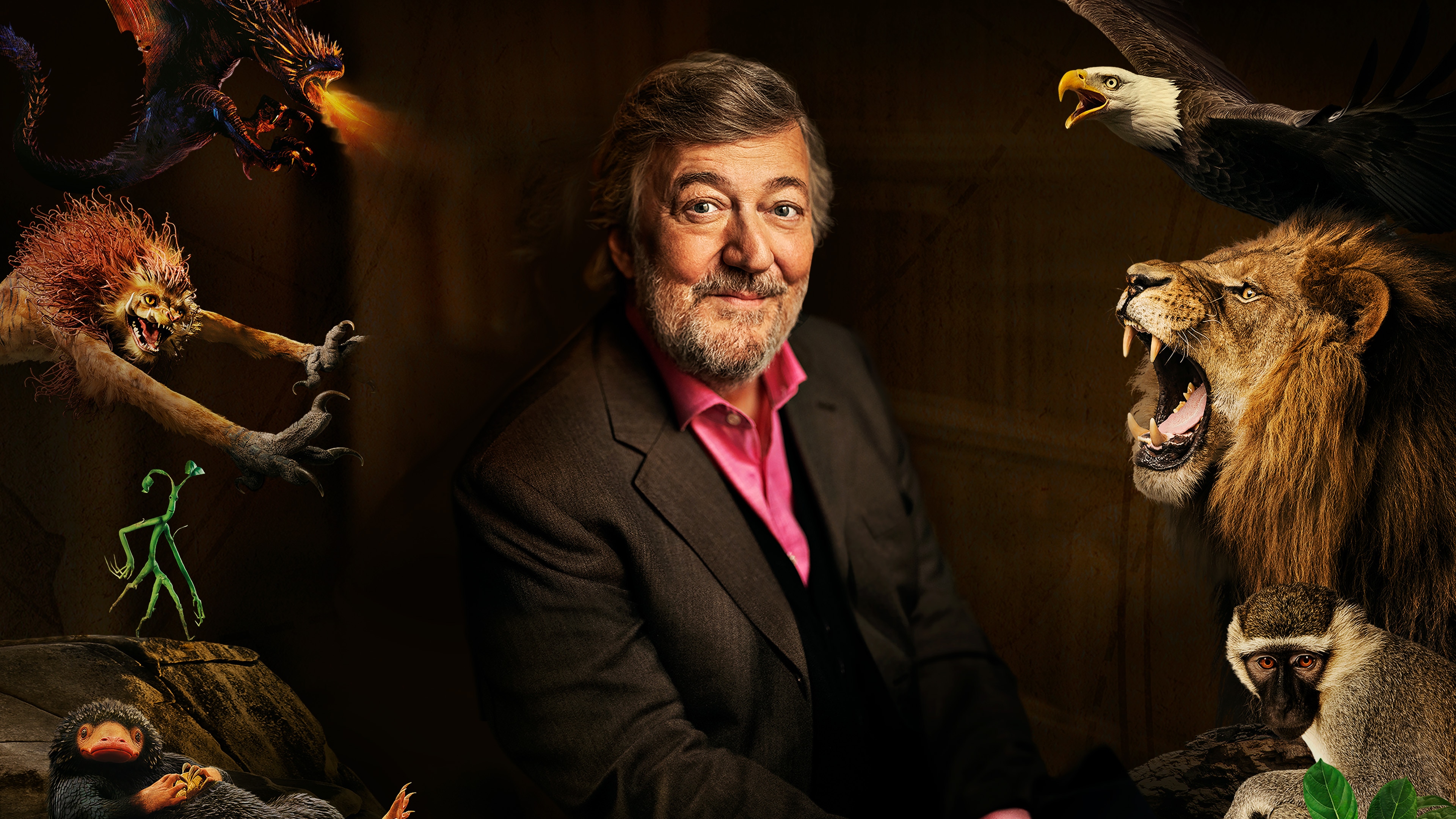 Watch Fantastic Beasts: A Natural History | HBO Max