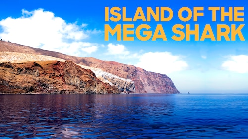 Watch Island of the Mega Shark | discovery+