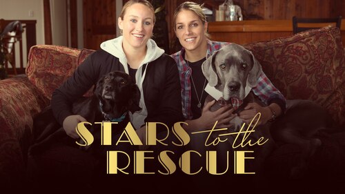 Watch Stars to the Rescue | discovery+