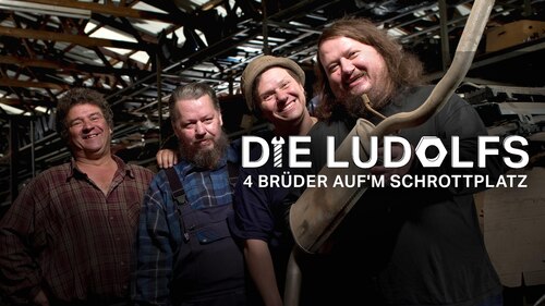 Ansehen Die Ludolfs - 4 Brüder auf'm Schrottplatz | Staffel 3 Folge 19 ...