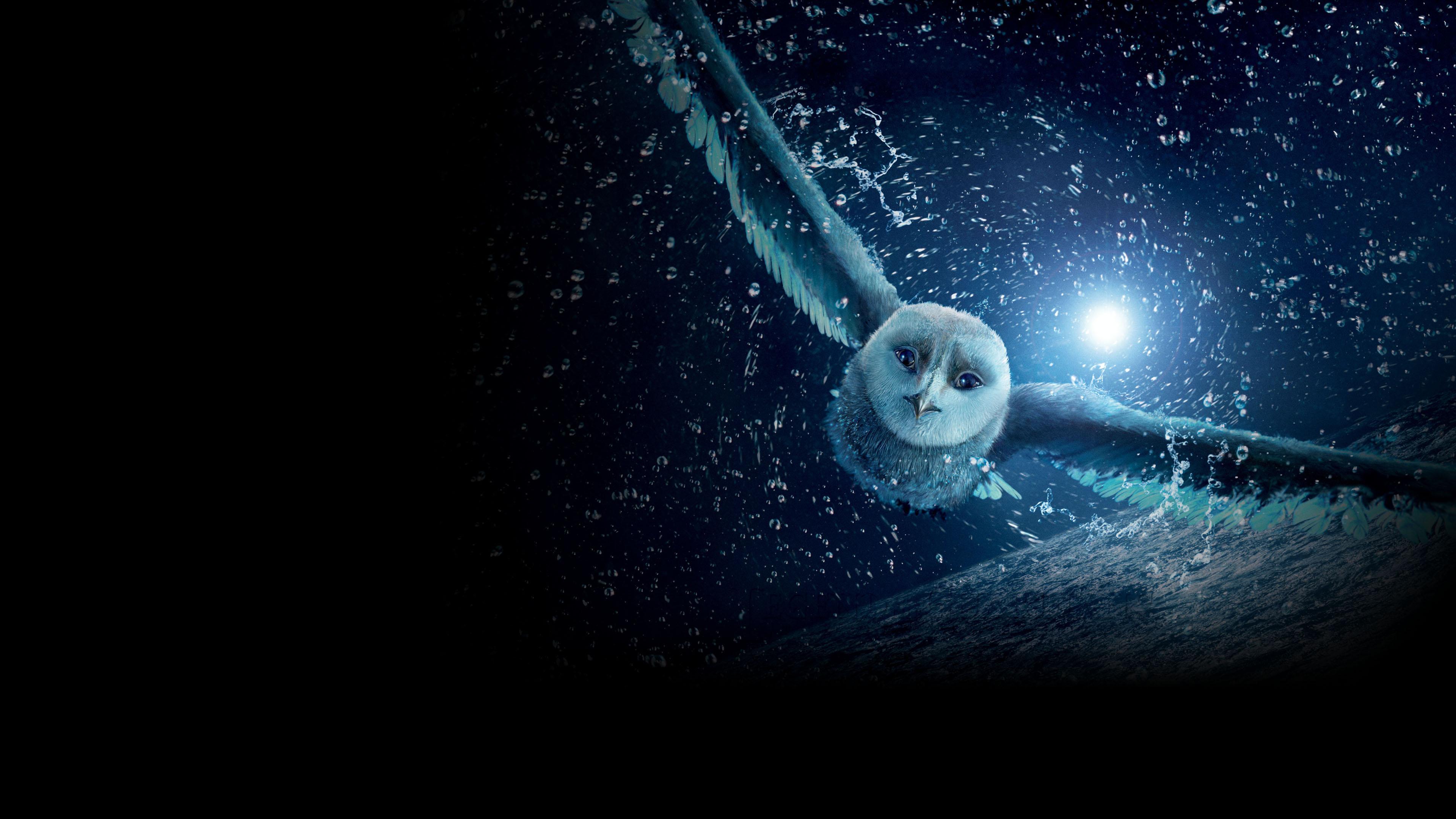 Watch Legend of the Guardians: The Owls of Ga'Hoole (HBO) | HBO Max