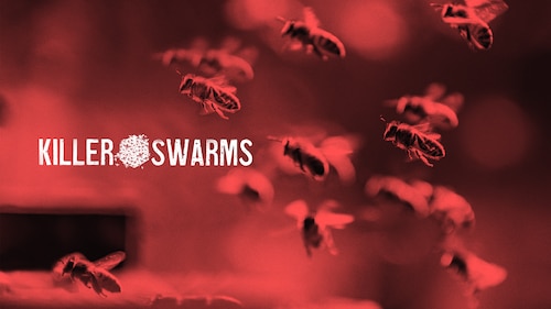 Watch Killer Swarms | discovery+