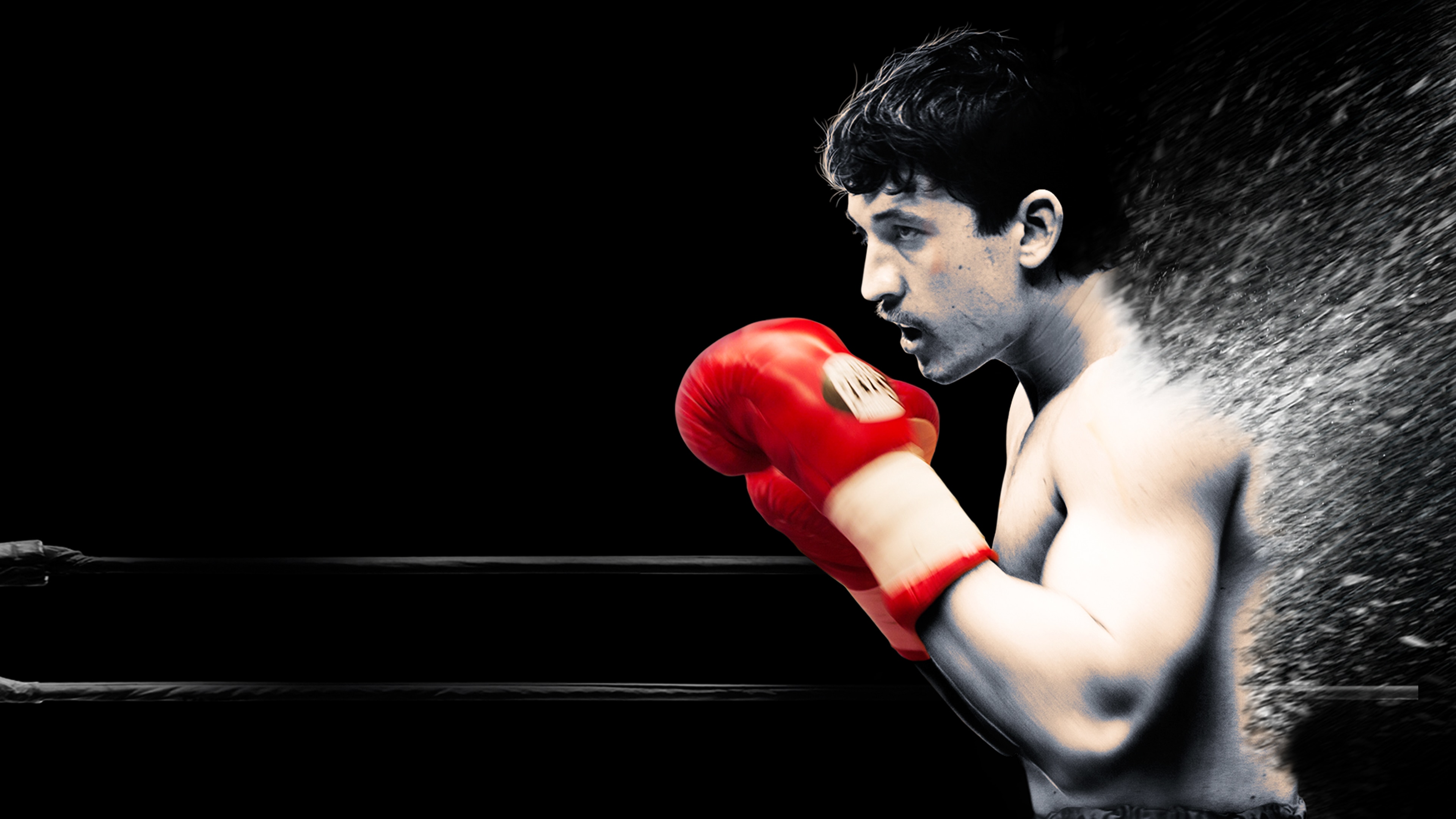 Watch Bleed for This | HBO Max